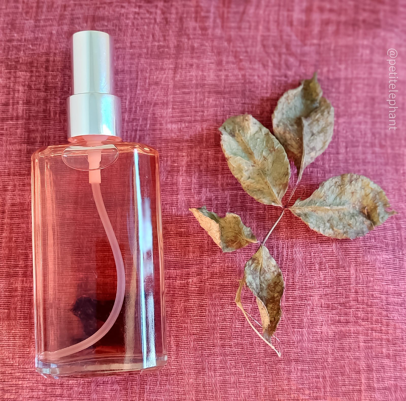 PERFUME BOTANICO SENSUAL EVA - Loja Petit Elephant - Florais Fito ...