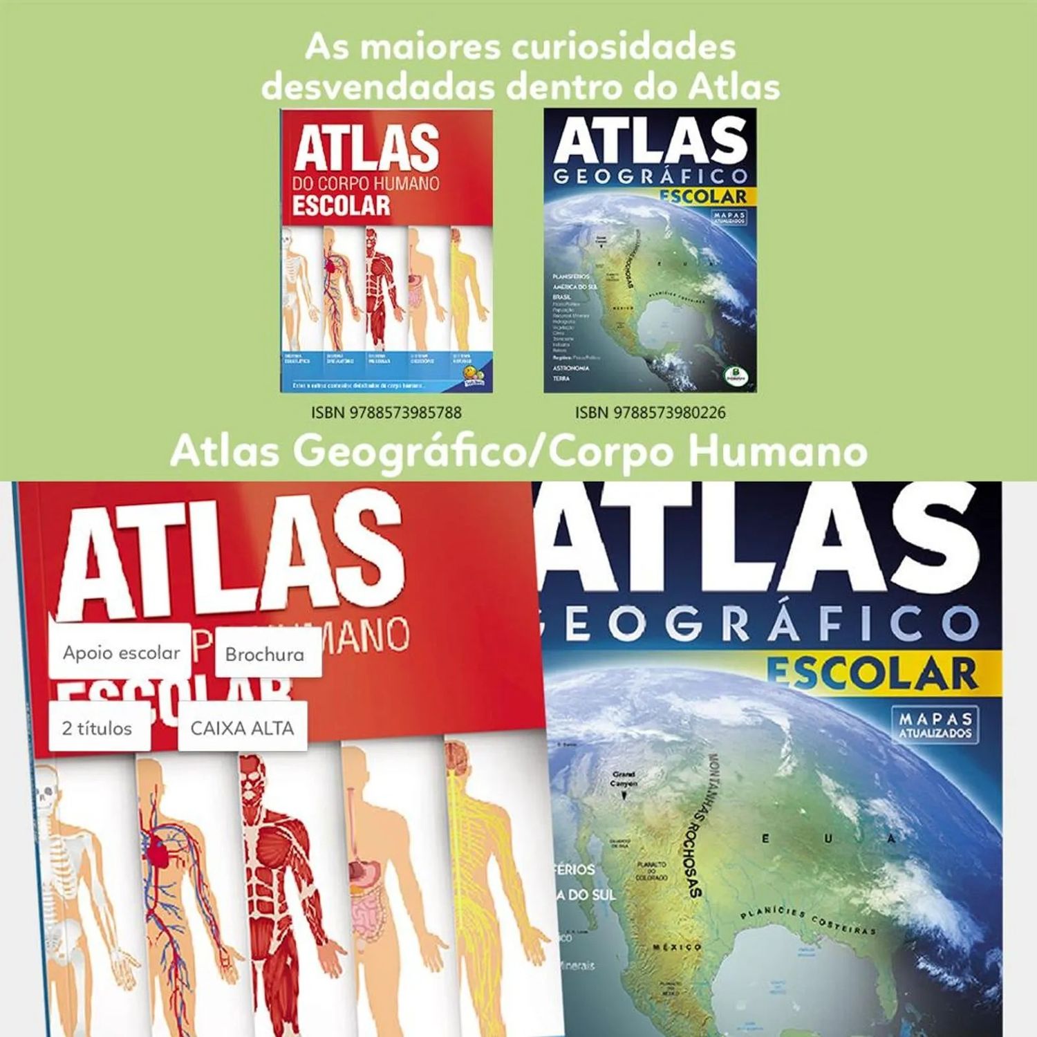 Atlas do Corpo Humano I - Explorando a Anatomia com Todo Livro - Brazil ...