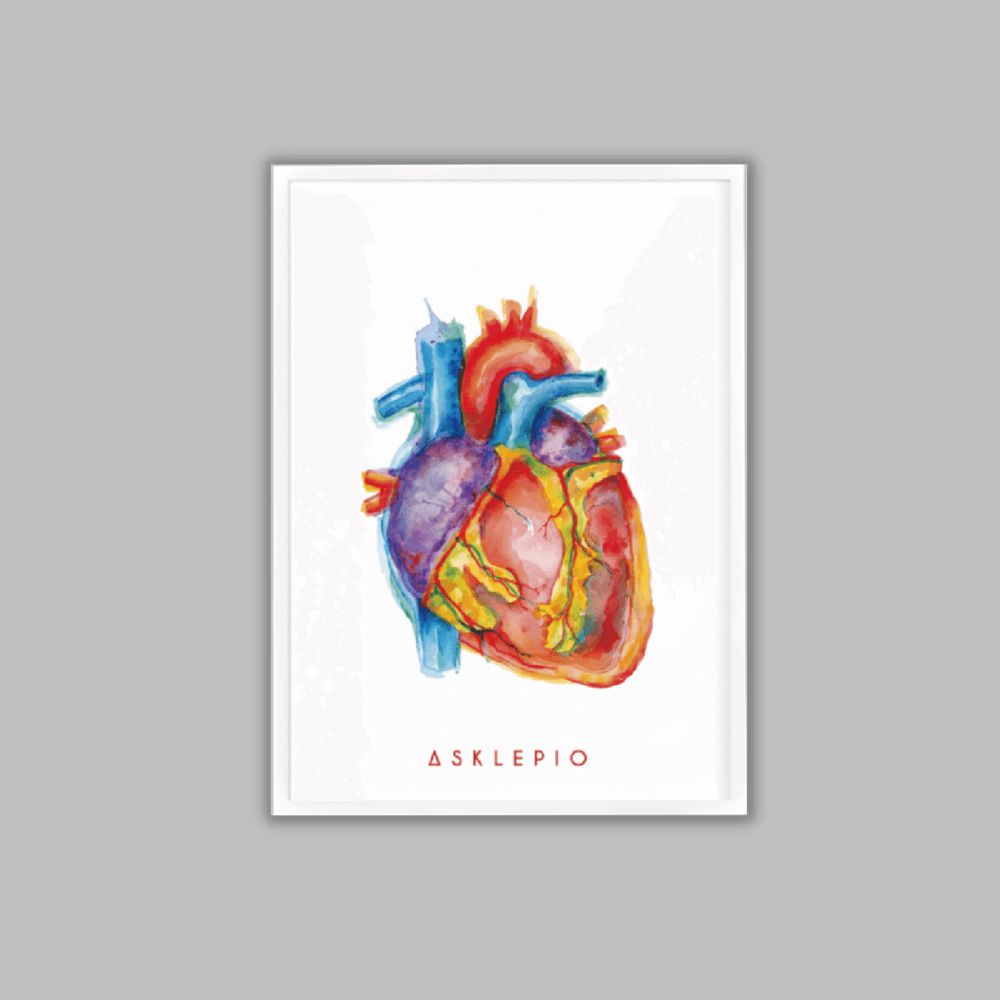 Kit Quadros Aquarela - Medical Place - Loja de Produtos Hospitalares ...