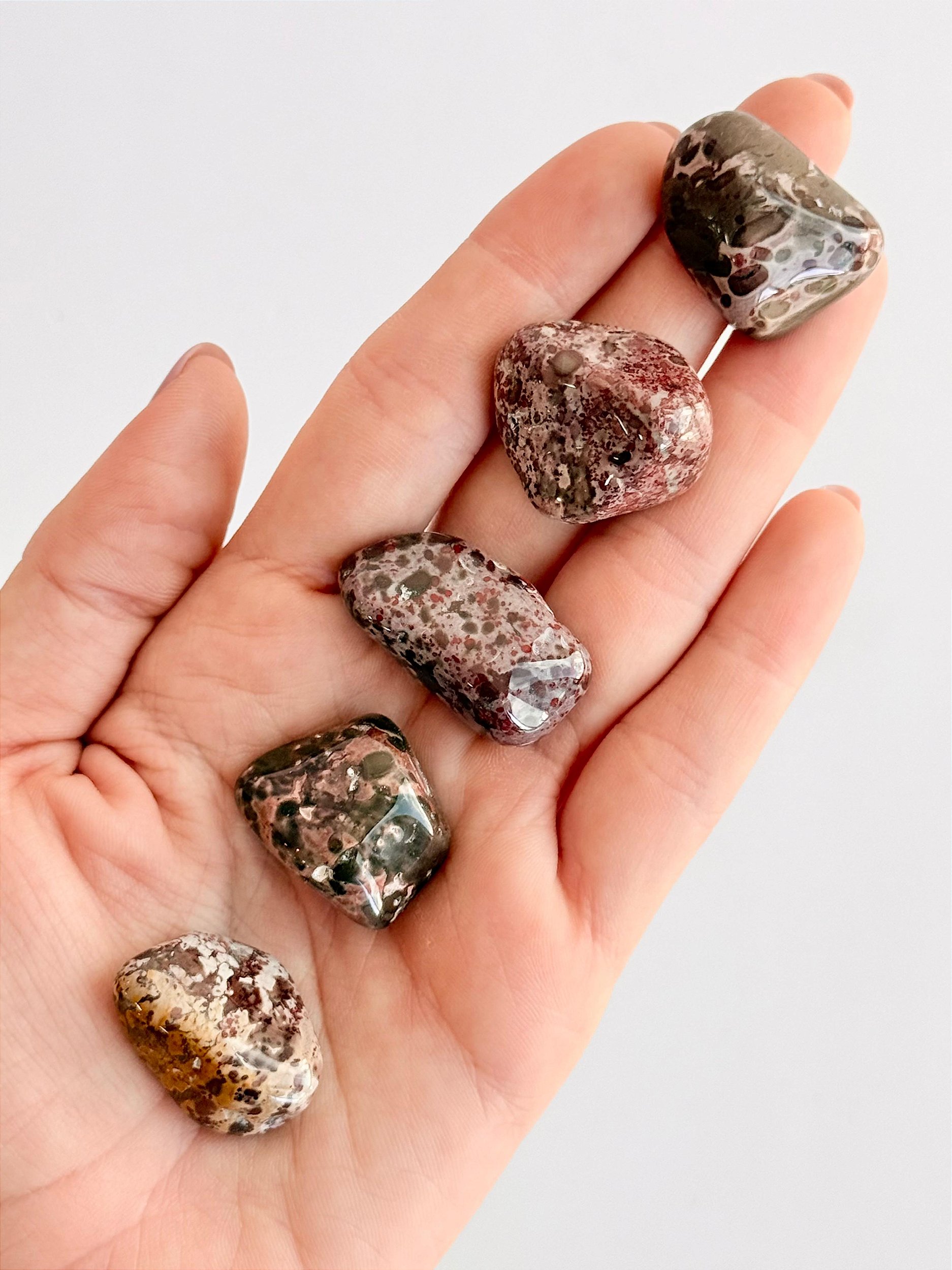 Jaspe Vermelho Kenya - Atitude, Coragem, Vitalidade e Saúde - Sagrada Magia