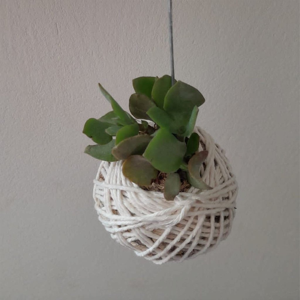 Kit 10 Mini Kokedamas de Suculentas Variadas - Meu Kokedama