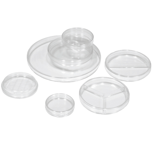 PLACA RODAC 60 X 10 MM S/ DIVISAO PS CRISTAL - JPROLAB ...