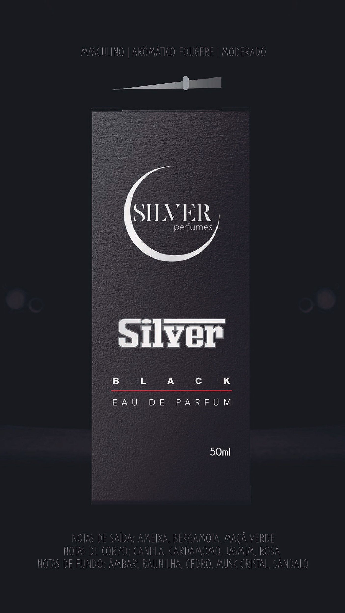 Perfume Silver Black Masculino Eau de Parfum 50ML - Silver Perfumes ...