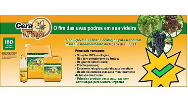 Cera trap Atrativo Para Mosca Da Fruta 5 Litros Bioiberica - Compre ...