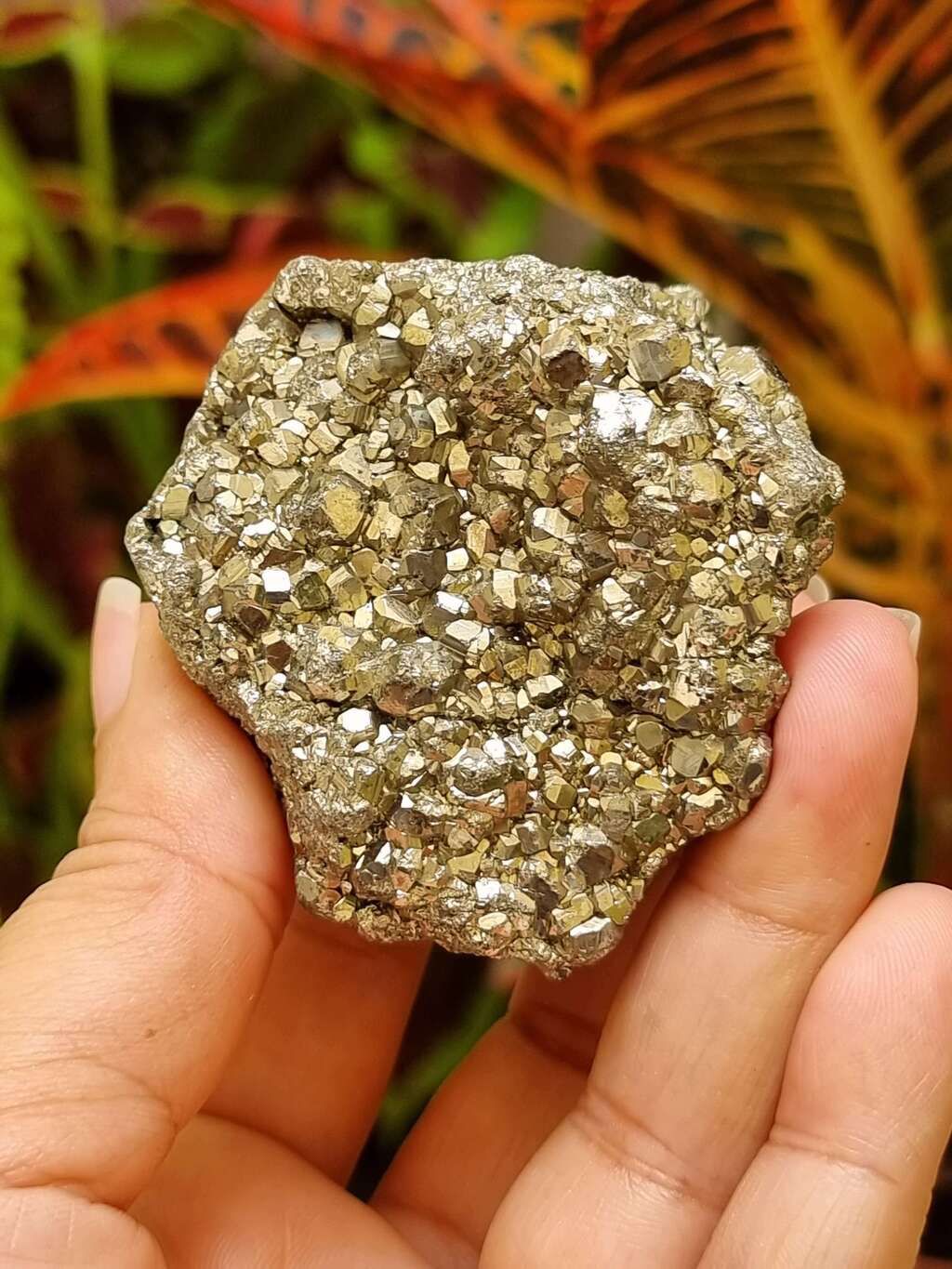 Pirita - Cod. PI 79 - Liandry Cristais