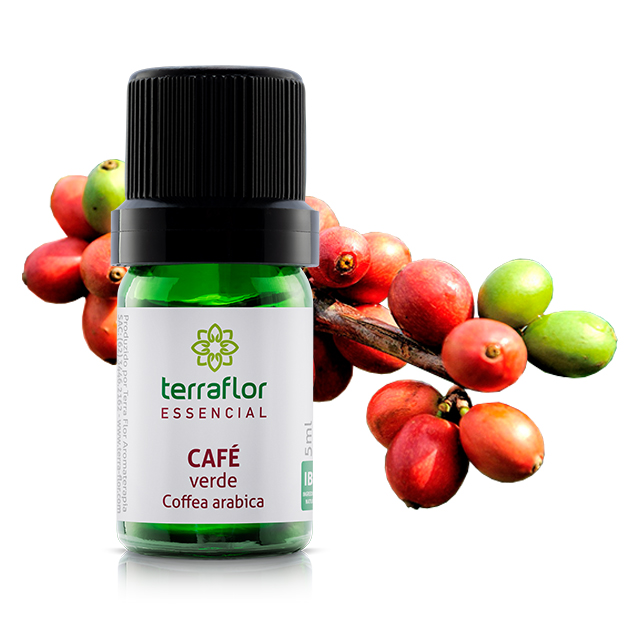 Óleos Essenciais TerraFlor 5ml - Luz da Rosa - Cristais, Terapias ...