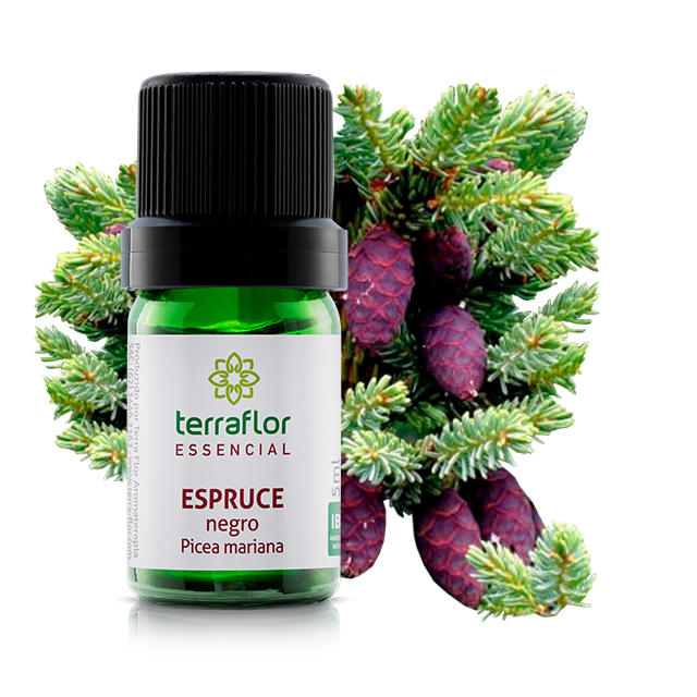 Óleos Essenciais TerraFlor 5ml - Luz da Rosa - Cristais, Terapias ...