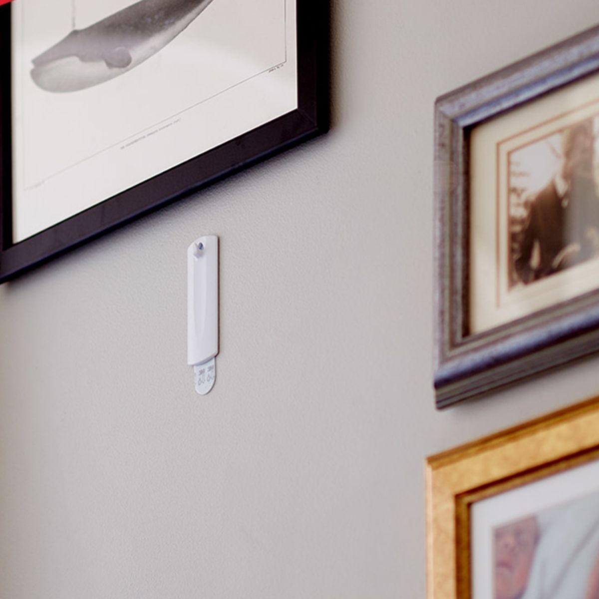 Suporte para Quadros Command 3M| Guemat - Guemat | Ferramentas, Lar e ...