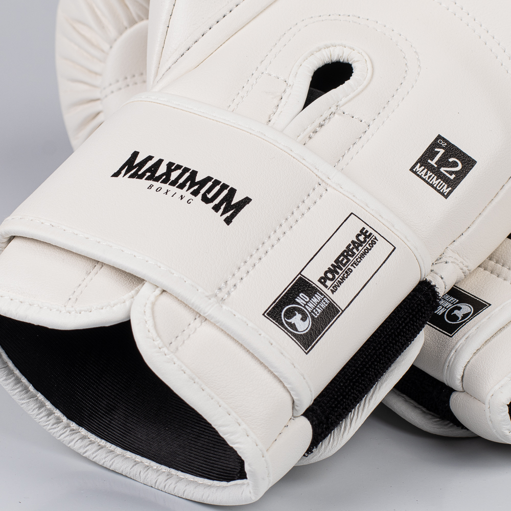 Kit Muay Thai - Luvas de Boxe, Muay Thai, MMA, Kickboxing e muito mais