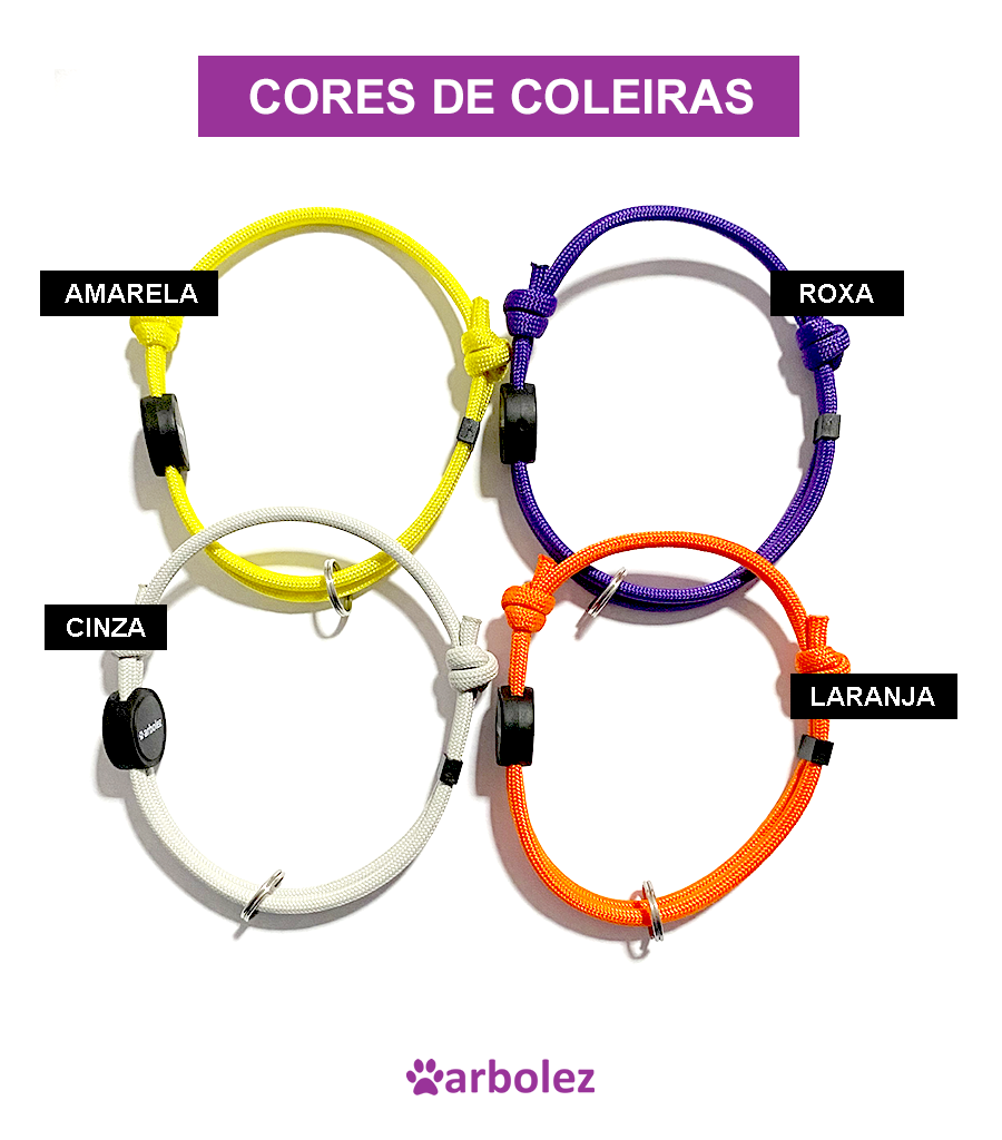 Placa de identificação para cães e gatos com geolocalização - Animaliv ...