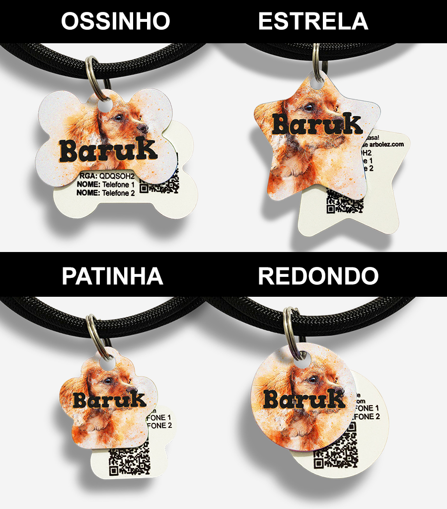 Placa de identificação para cachorro com geolocalização - Animaliv ...