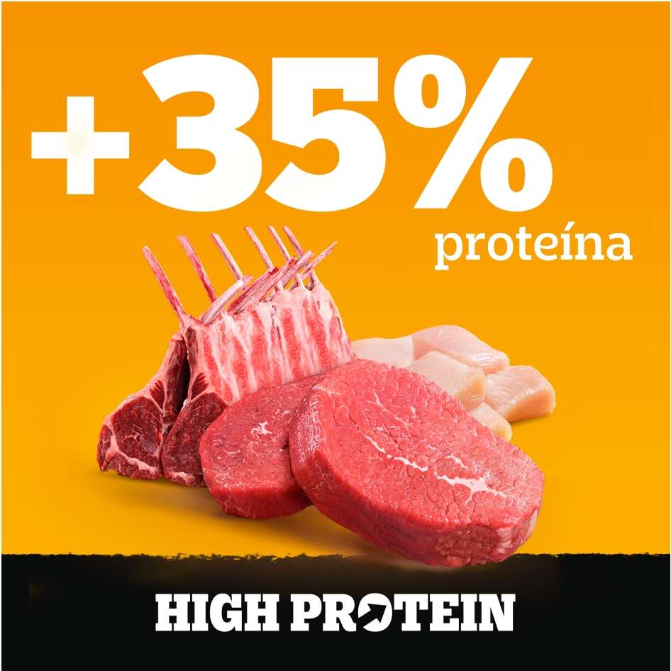Ração Úmida Pedigree High Protein Sachê Porco e Carne Ao Molho - Loja ...