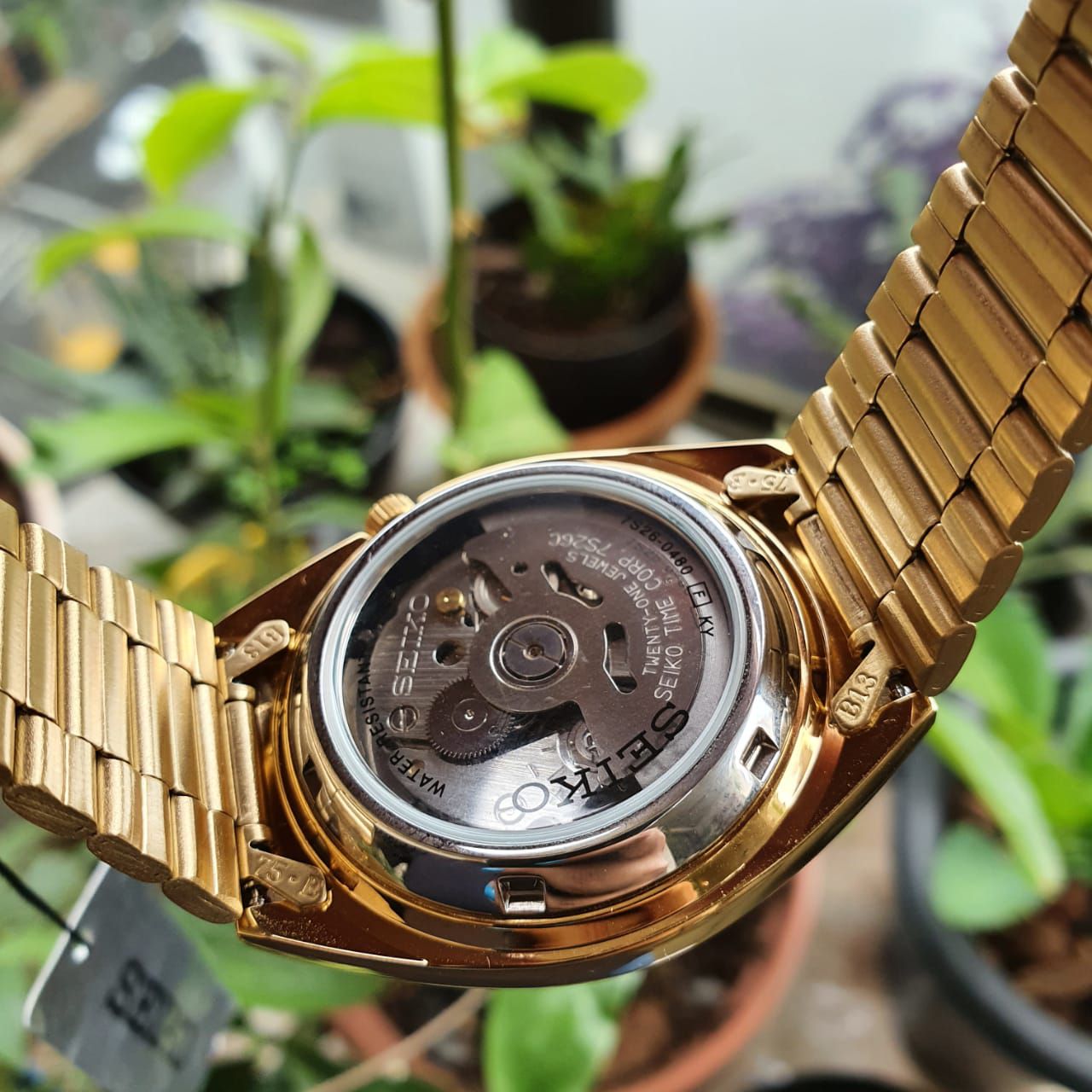 Relógio Masculino Seiko SNXL72k automatico - Altarelojoria relógios ...