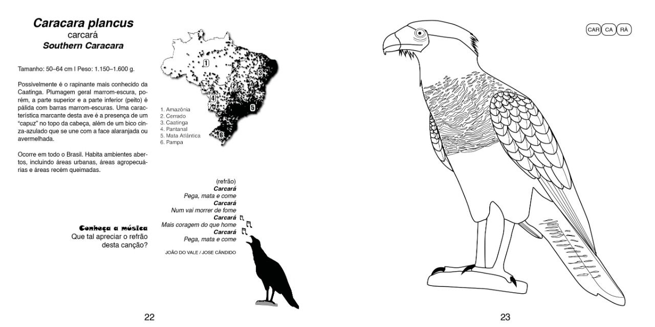 Animais Da Caatinga Para Colorir - FDPLEARN