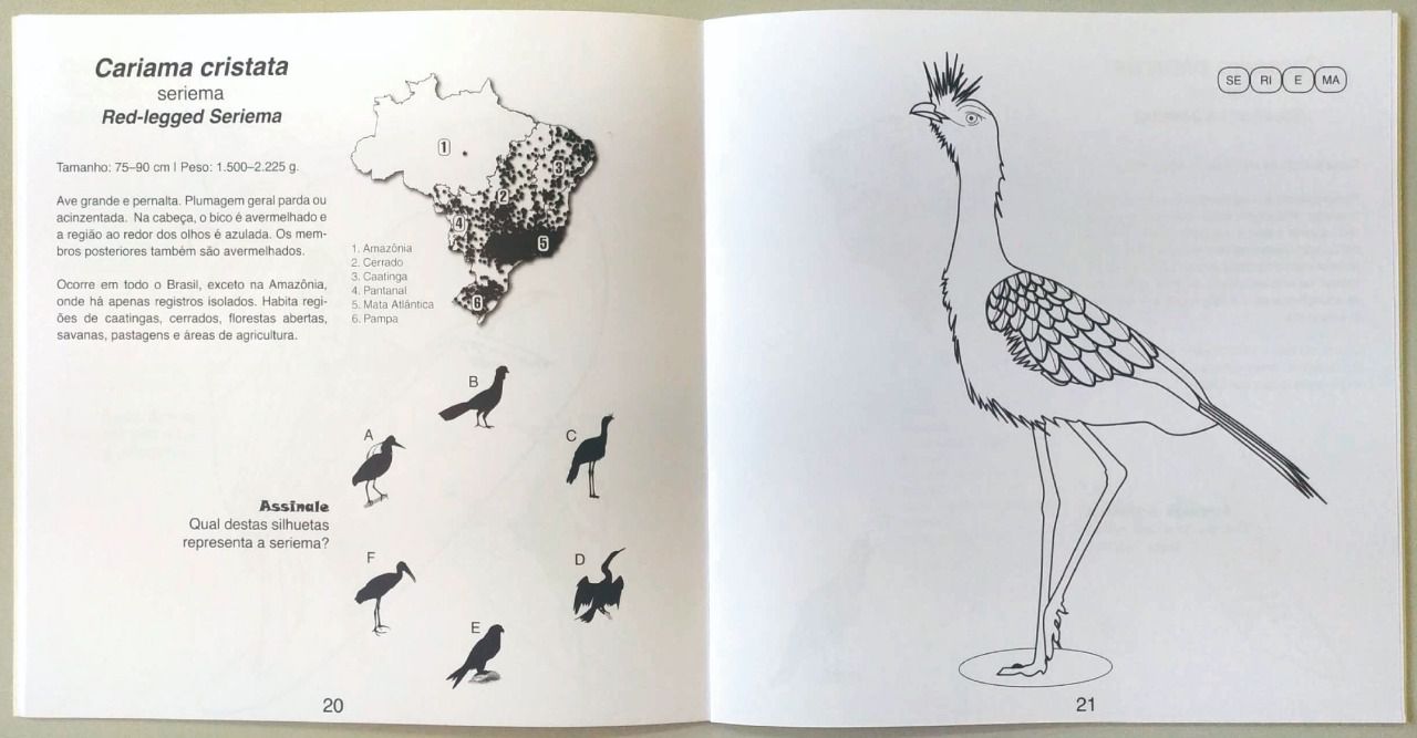 Desenho Da Caatinga Para Colorir - RETOEDU