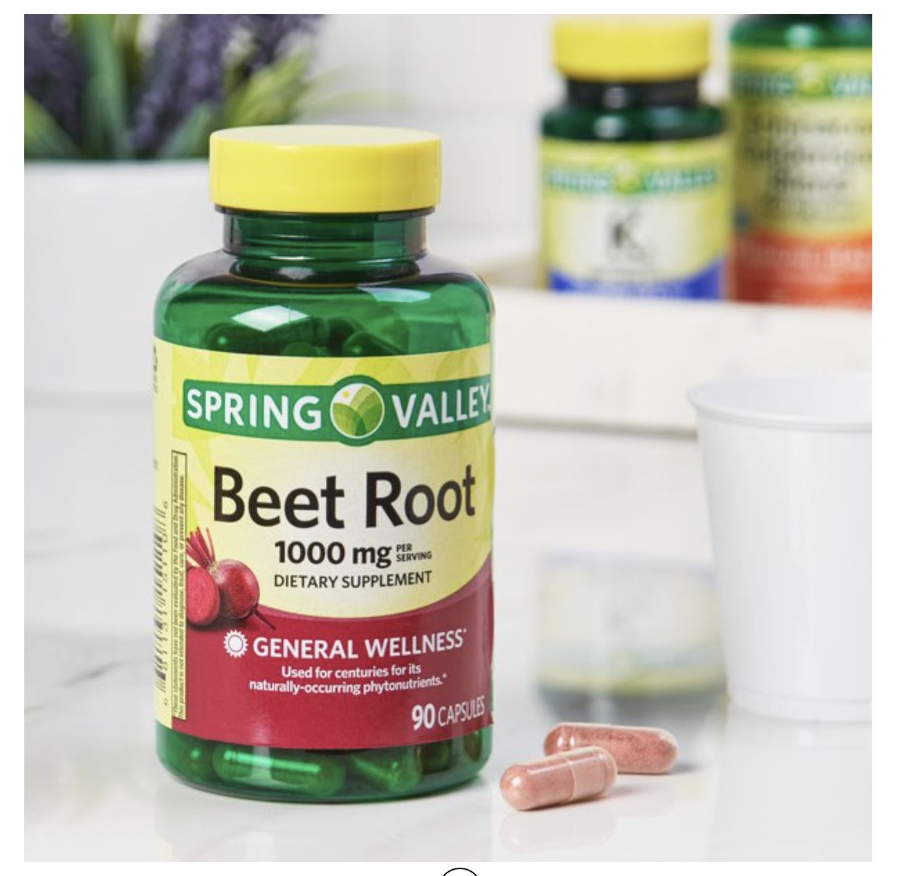 Beet Root 1000mcg - Vitamina Spring Valley - 90 unid - FM LOJA ...