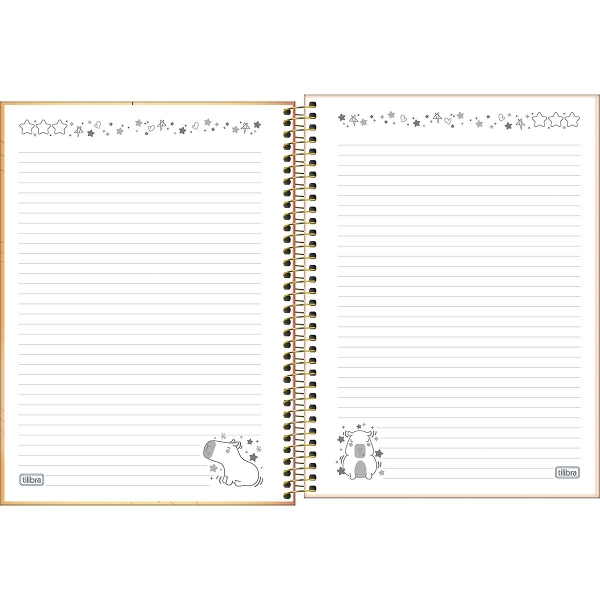 CADERNO CAPIVARA CAPYCLUB 1 MATERIA TILIBRA - Planet Paper Papelaria