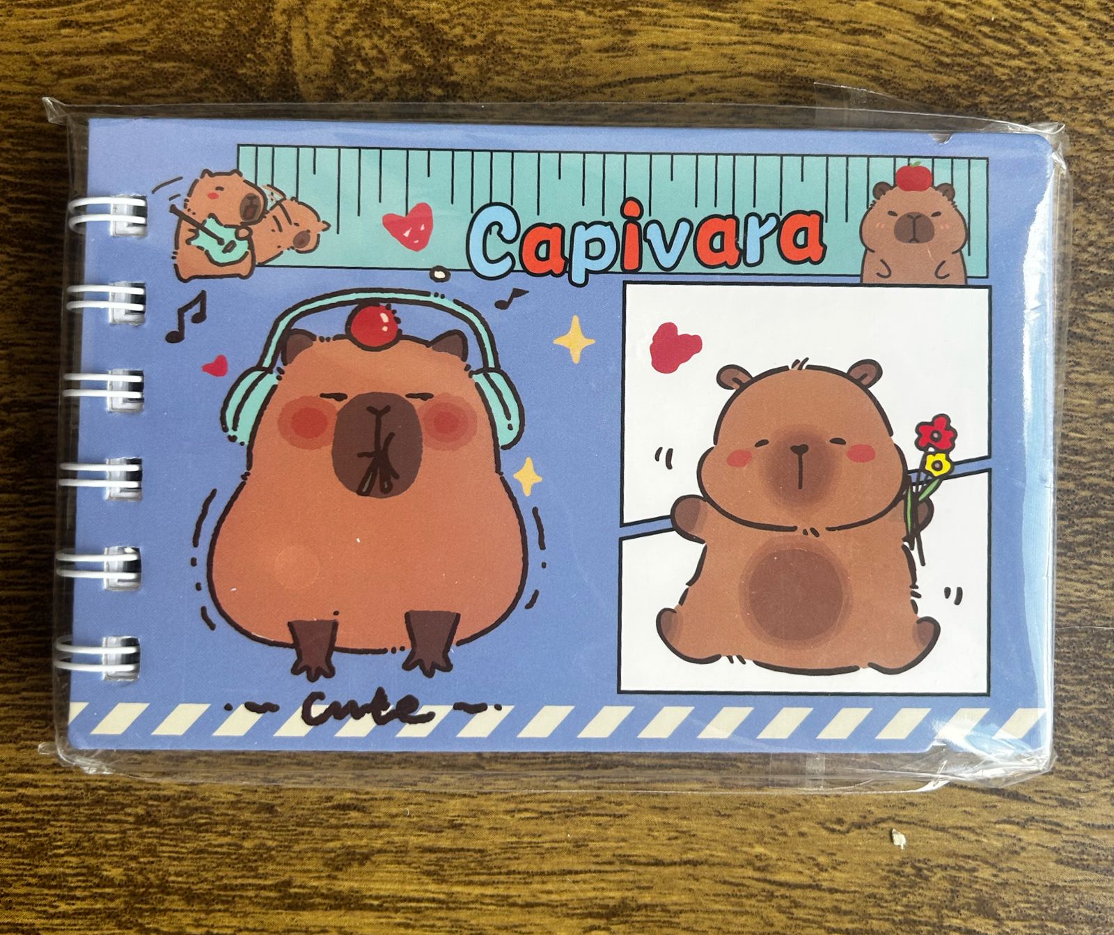 MINI LIVRO DE COLORIR DE CAPIVARA - Planet Paper Papelaria
