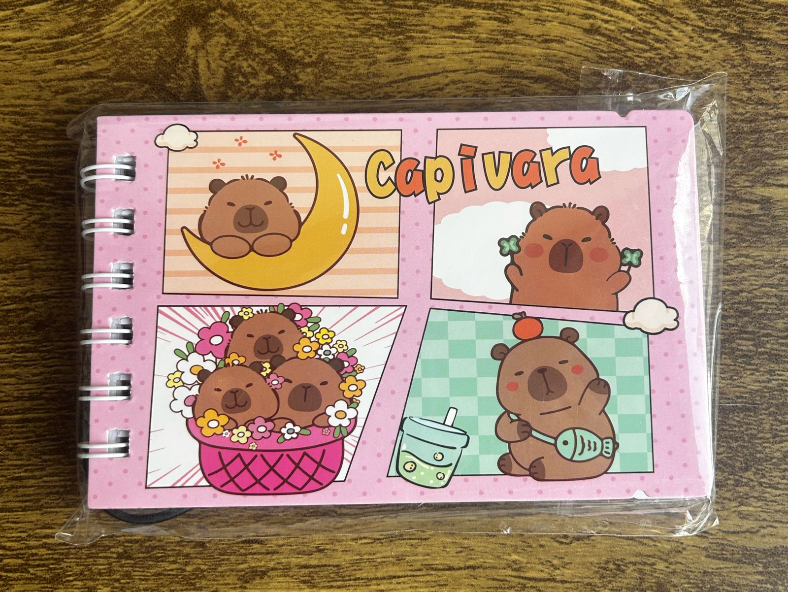 MINI LIVRO DE COLORIR DE CAPIVARA - Planet Paper Papelaria