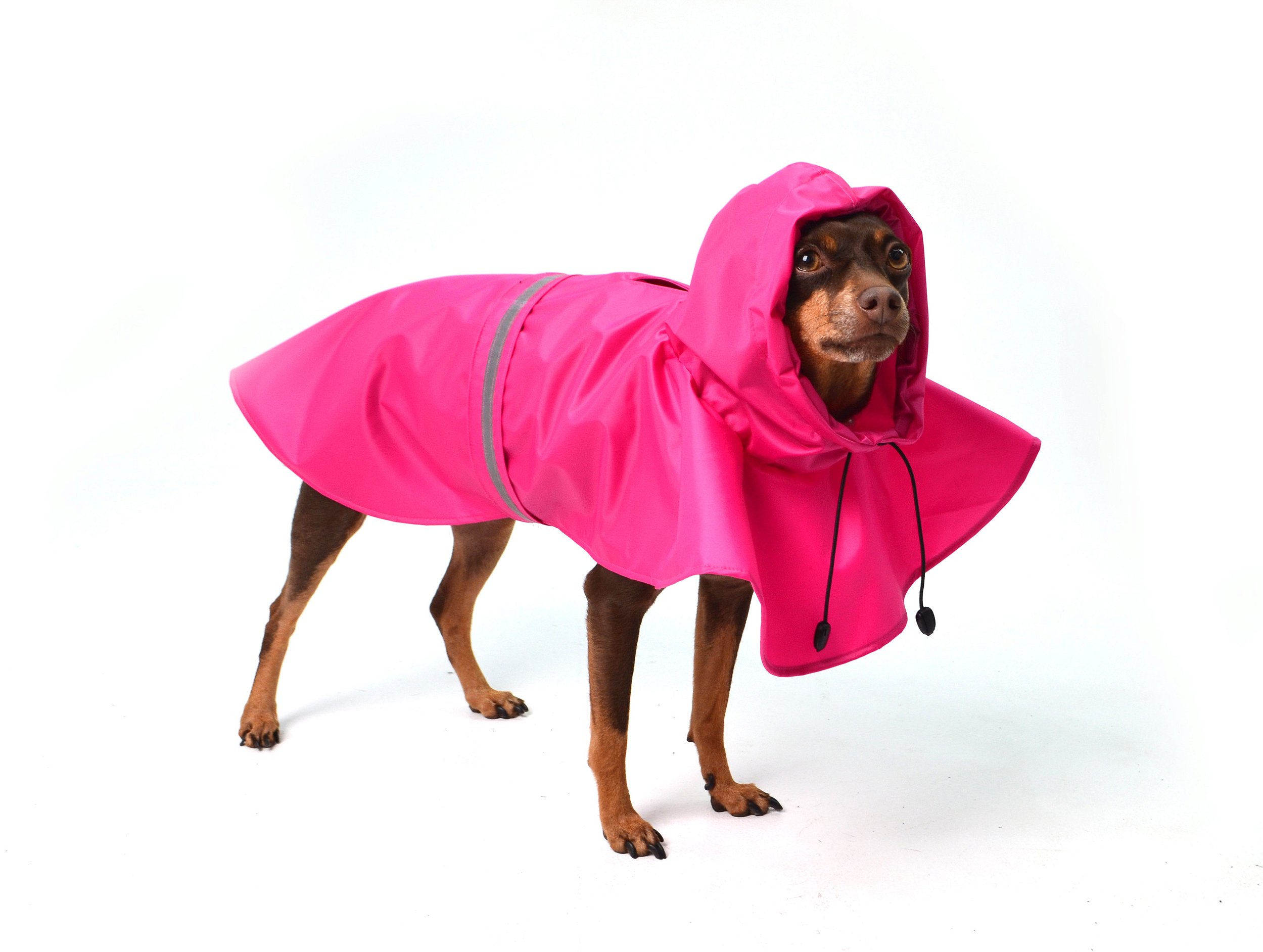 Capa de Chuva Para Pet Cachorro Cães It Pink Emporium Distripet ...