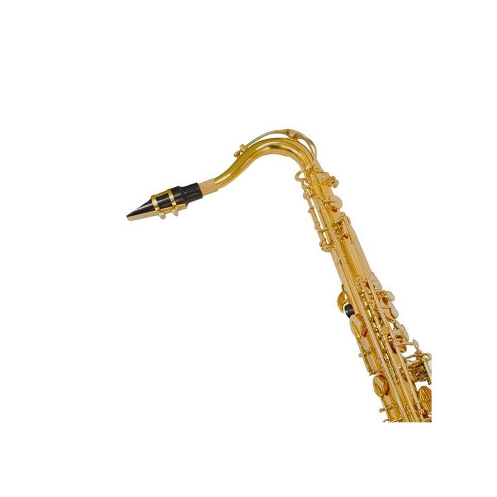 Sax Tenor BB BSTC-1L Em - BENSON - KEEPSOUND - Loja de Equipamentos de ...