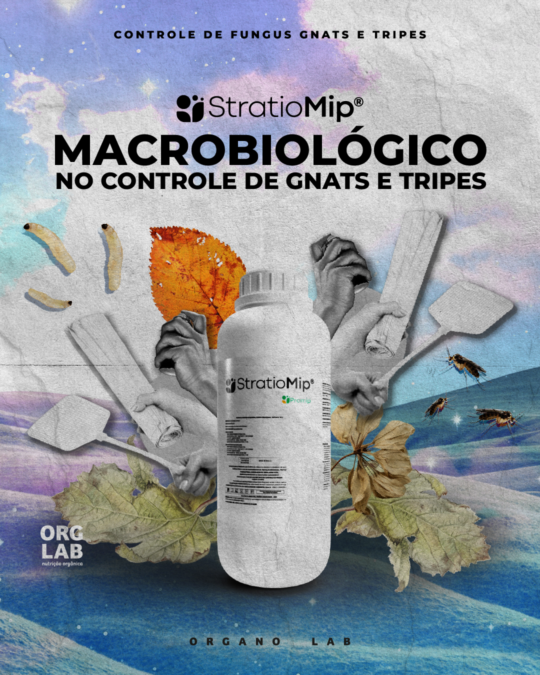 StratioMip - Macrobiolócigos - Organo Lab