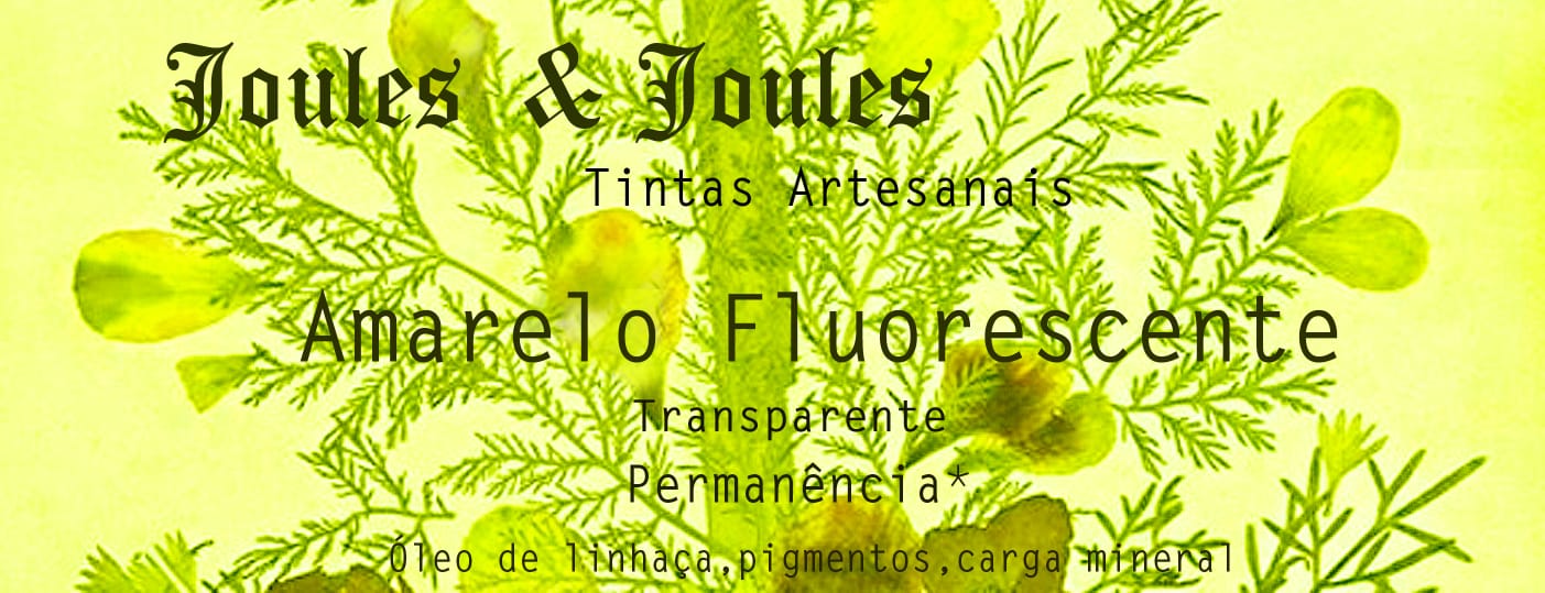 Kit Tinta a Óleo Fluorescentes | 4 Cores Joules & Joules - Joules & Joules
