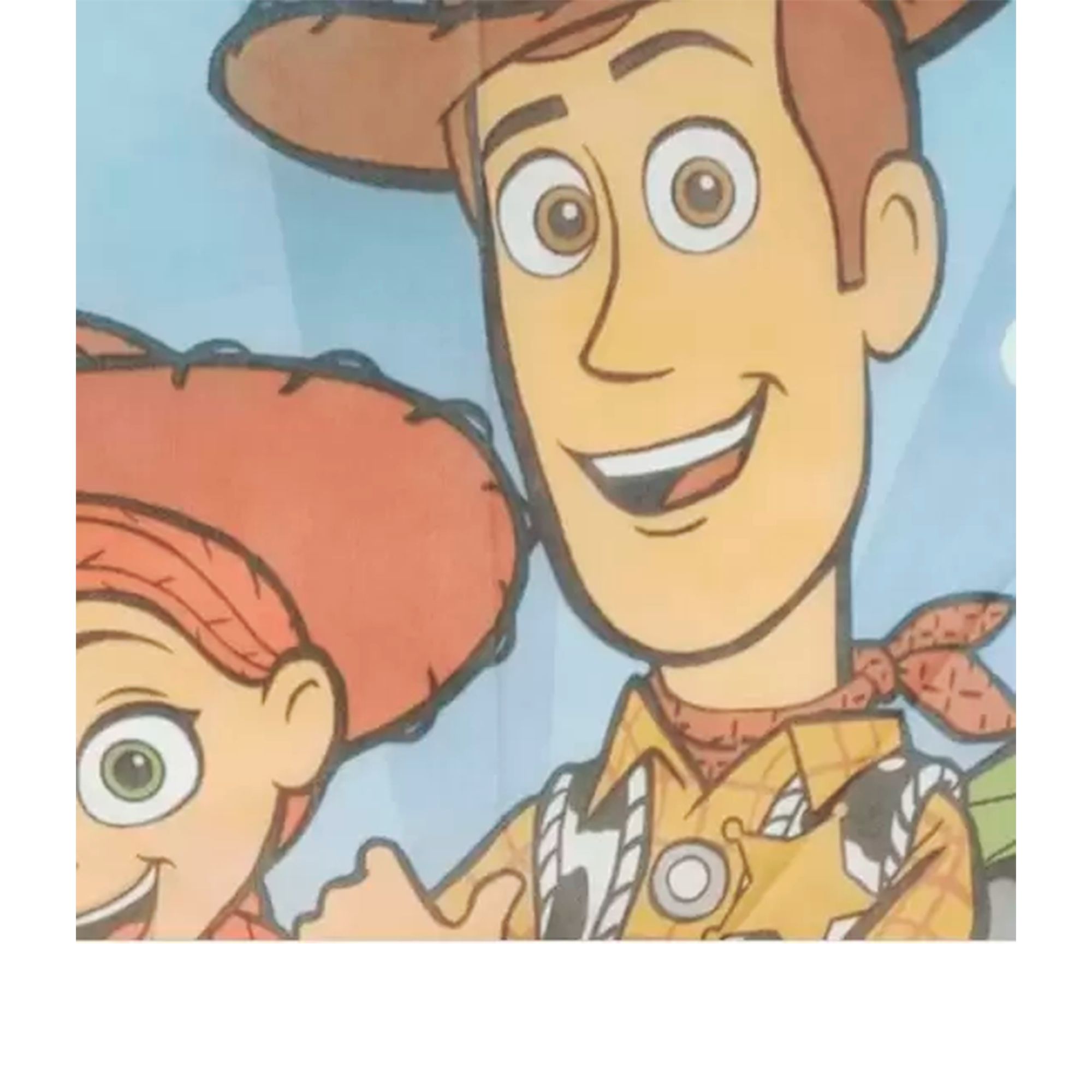 Decoração festa Toy Story Painel TNT GIGANTE 1,40m aniversário ...
