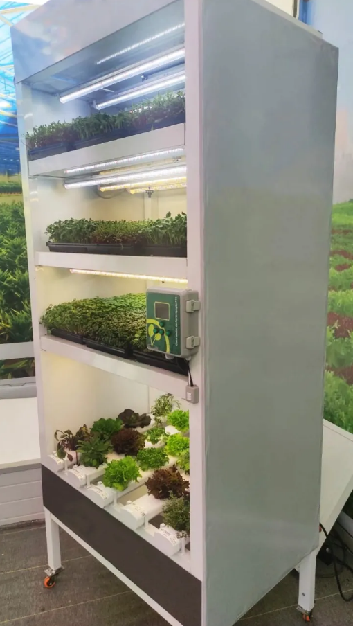 Painel Led HORTILED Warm White - 60cm - 18w - Grow Power - A maior rede ...