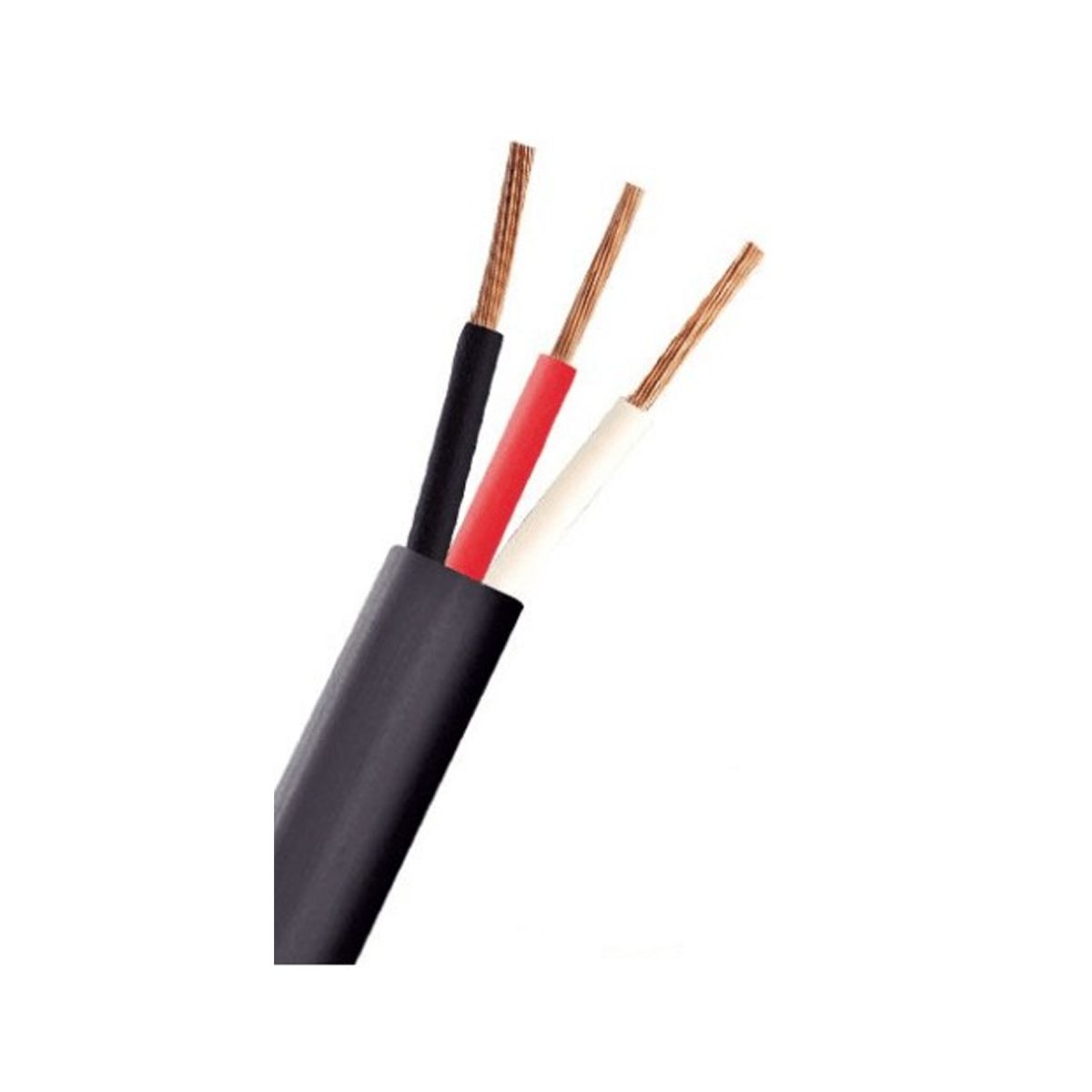 Cabo Pp 3 X 2,5 Mm2 Rolo 100 Metros 3 Vias - Cibrel