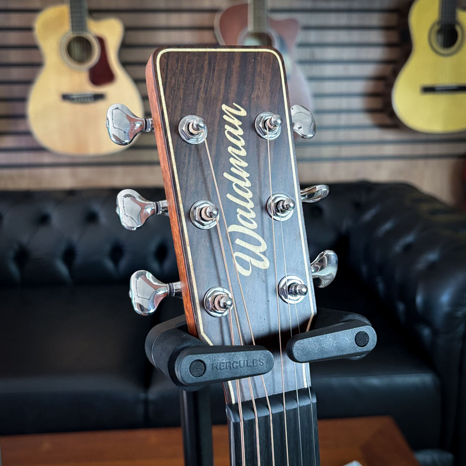 Violão Waldman DCEX-2041 YL Folk Cutaway All Solid Yellow ...