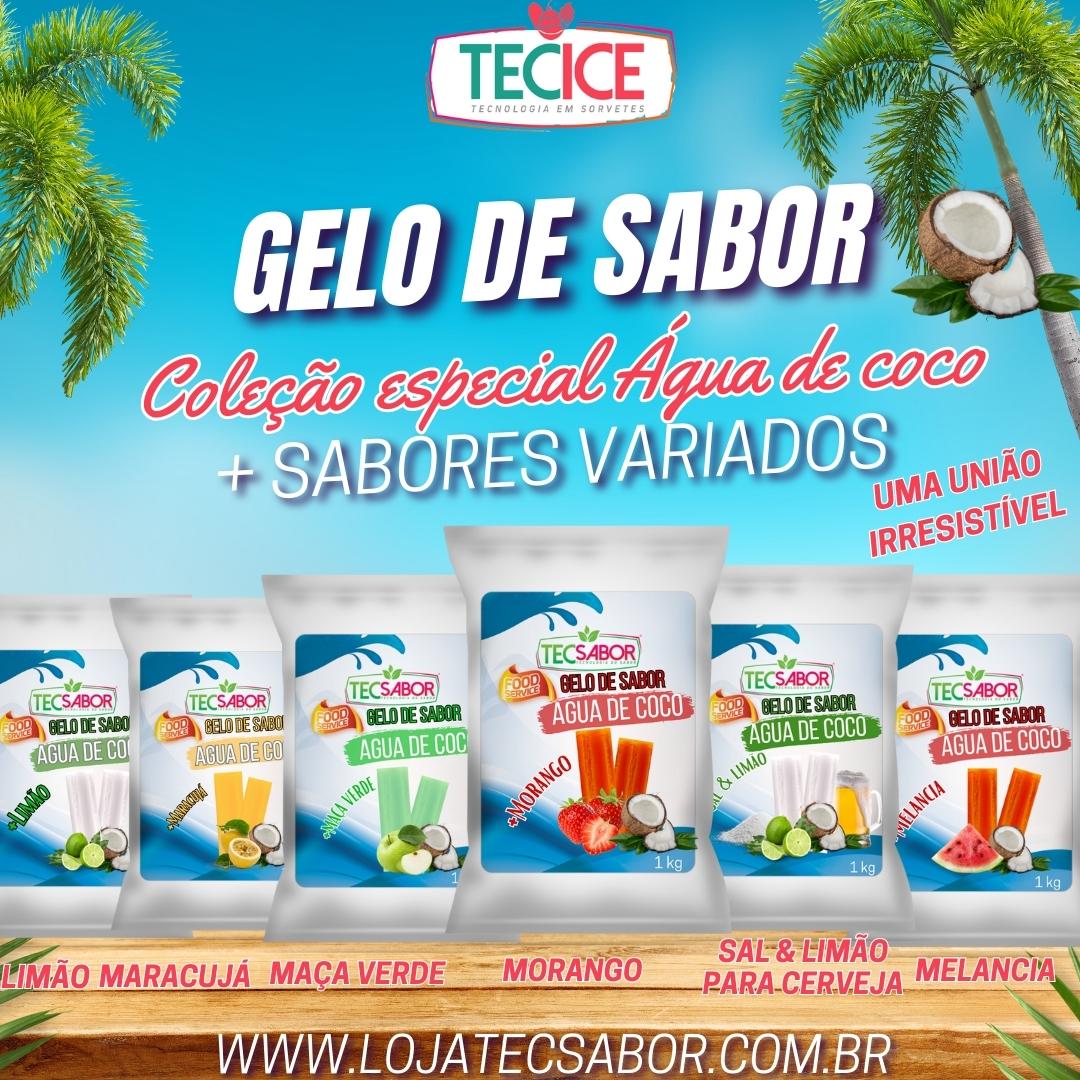 Gelo água de coco com sabores Tecsabor - lojatecsabor