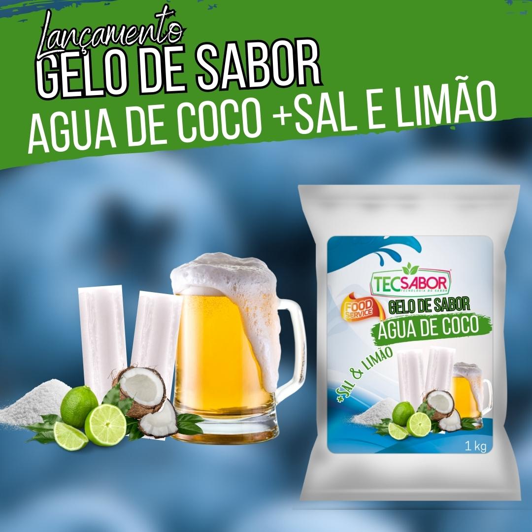 Gelo água de coco com sabores Tecsabor - lojatecsabor