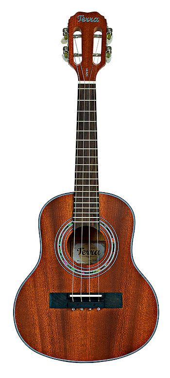 Cavaco Cavaquinho Terra Acústico Fosco Com Capa Mahogany - King Musical ...