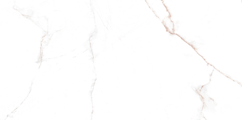 PORCELANATO DAMME BRANCO PIGUÊS PR12256 MARMORIZADO 62X121CM ...