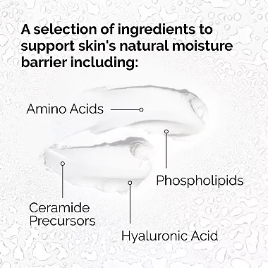 Mini Hidratante Natural The Ordinary Natural Moisturizing Factors ...