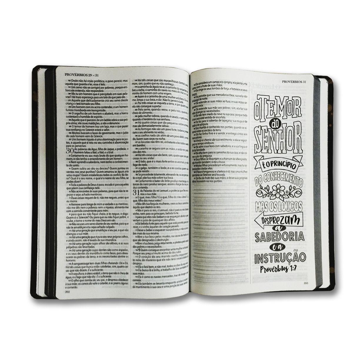 BÍBLIA BKJ1611 ULTRAFINA LETTERING BIBLE capa semiluxo coroa - Editora ...