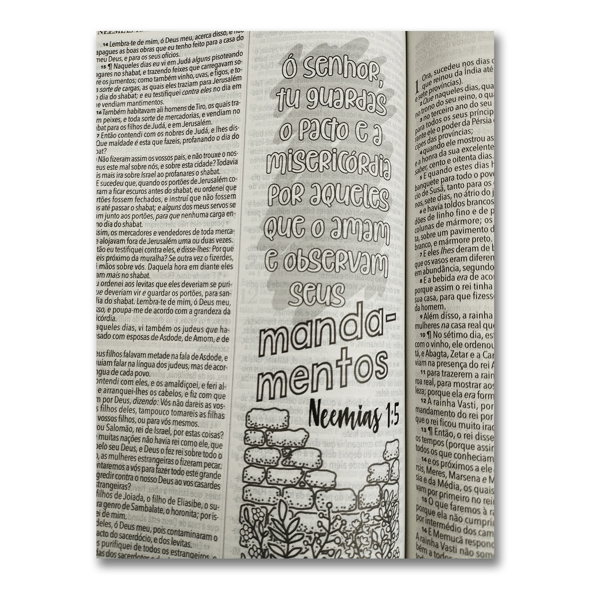 BÍBLIA BKJ1611 ULTRAFINA LETTERING BIBLE capa semiluxo coroa - Editora ...