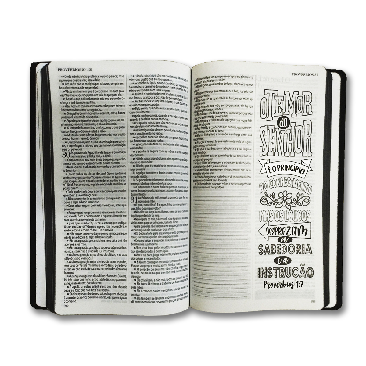 BÍBLIA BKJ1611 ULTRAFINA LETTERING BIBLE LEÃO E O CORDEIRO - Editora ...