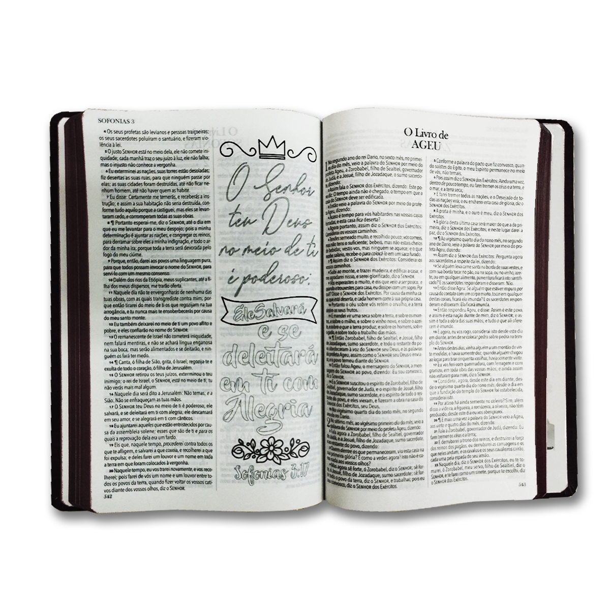 BÍBLIA BKJ1611 ULTRAFINA LETTERING BIBLE capa semiluxo faith love hope ...