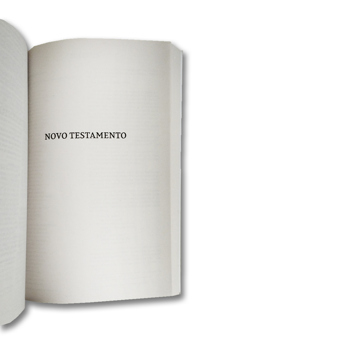 BÍBLIA NVI Letra normal CAPA BROCHURA LEÃO POP - Editora Sobre Tudo