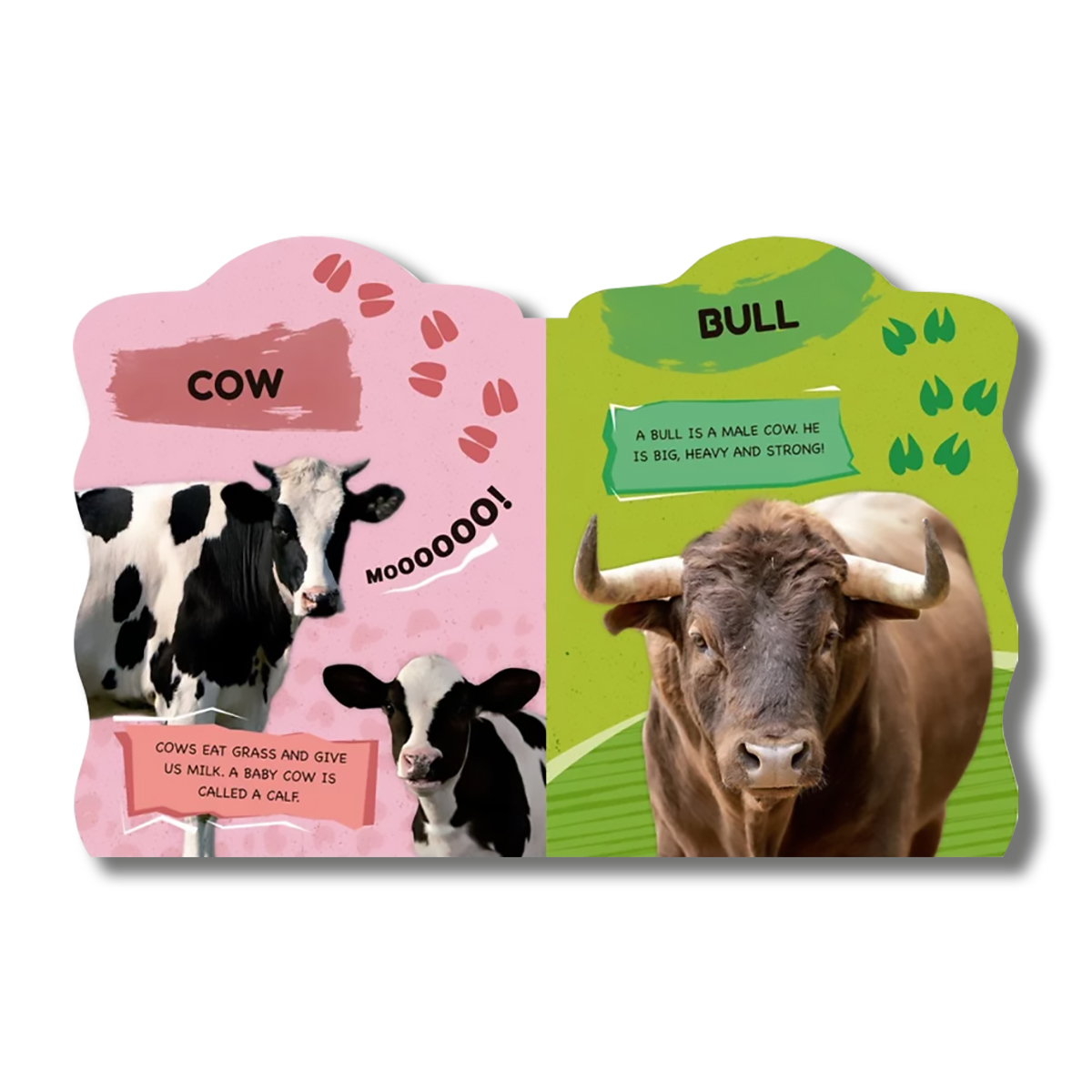 FARM ANIMALS LETS LOOK AT... - GRAMPEADO - Editora Sobre Tudo