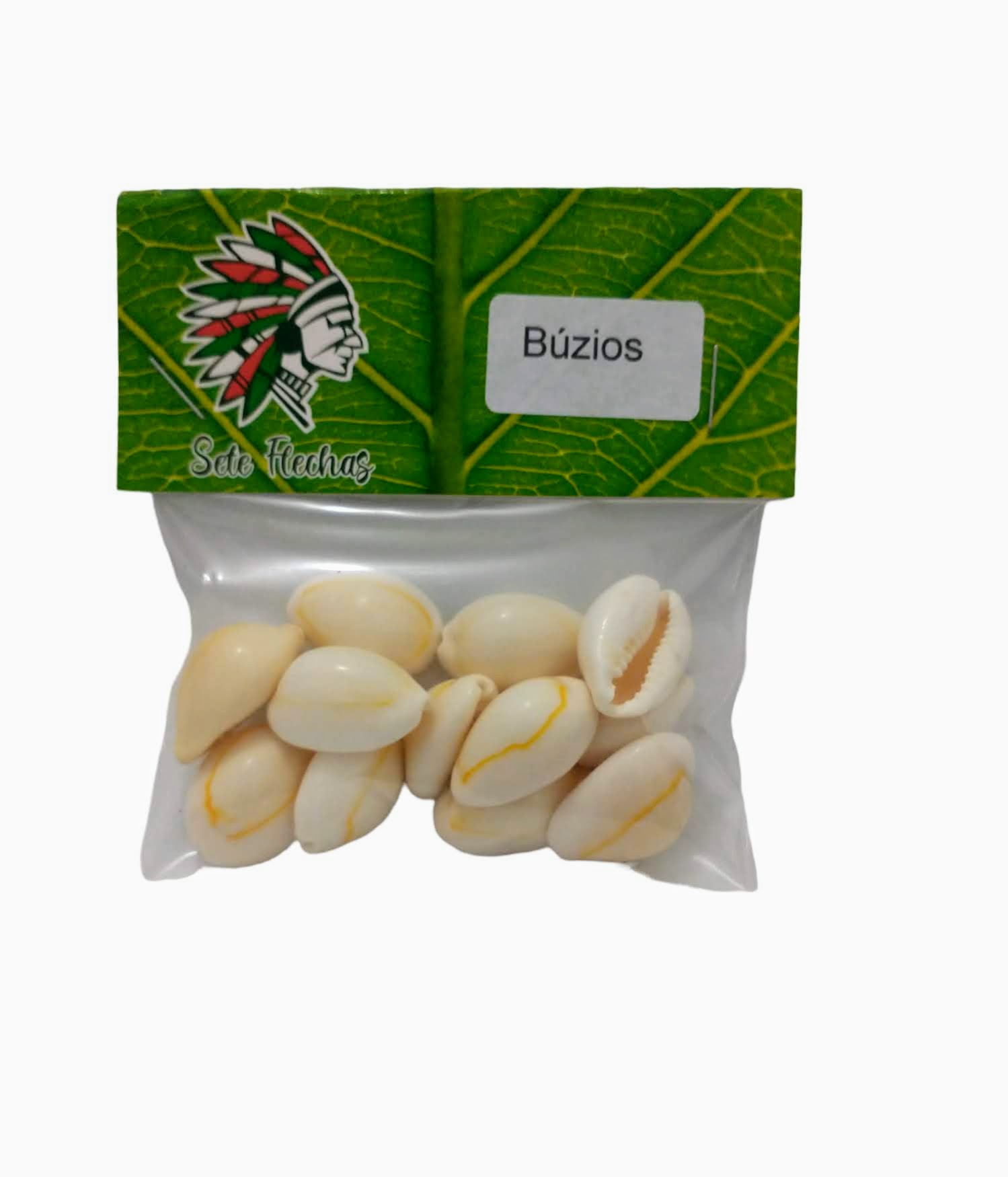 Búzios Branco Natural 12 Unidades - Casa do Caboclo Sete Flechas