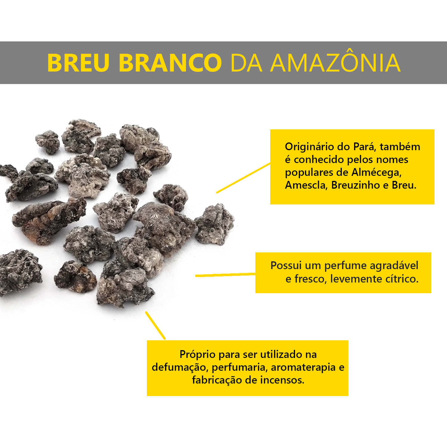 Breu Branco - Resina Natural em Pó - Produção de Incenso - Samādhi
