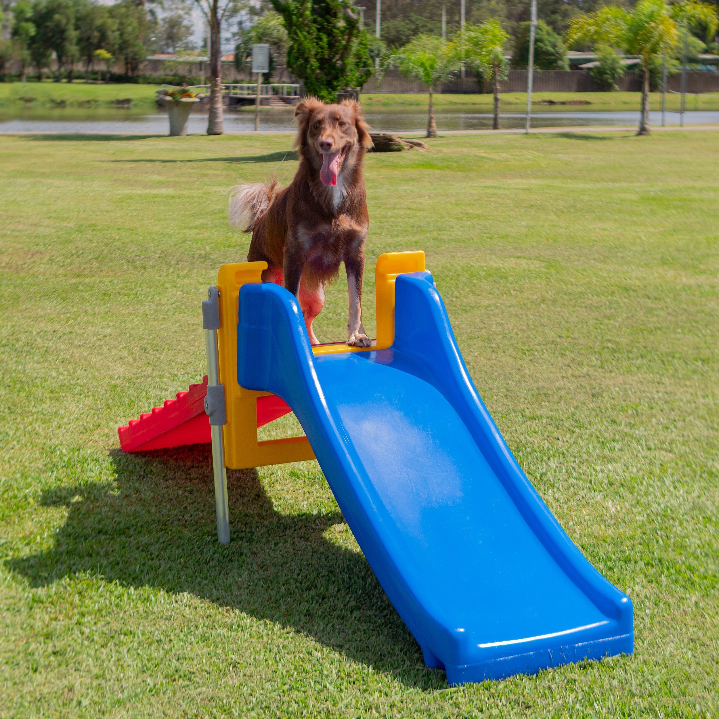 Escorregador com Rampa Agility para Cachorro Pet Freso - Freso - Loja ...