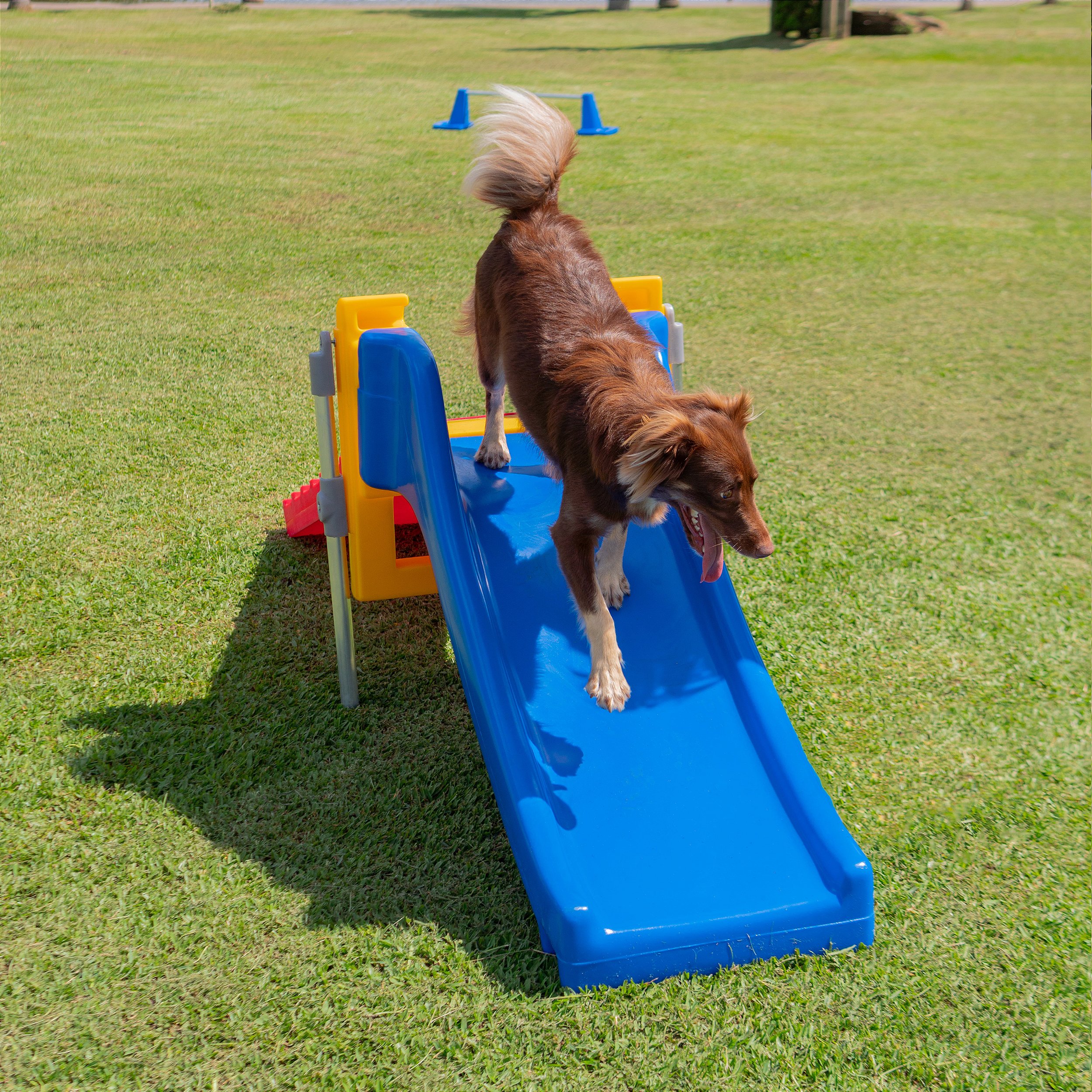 Escorregador com Rampa Agility para Cachorro Pet Freso - Freso - Loja ...