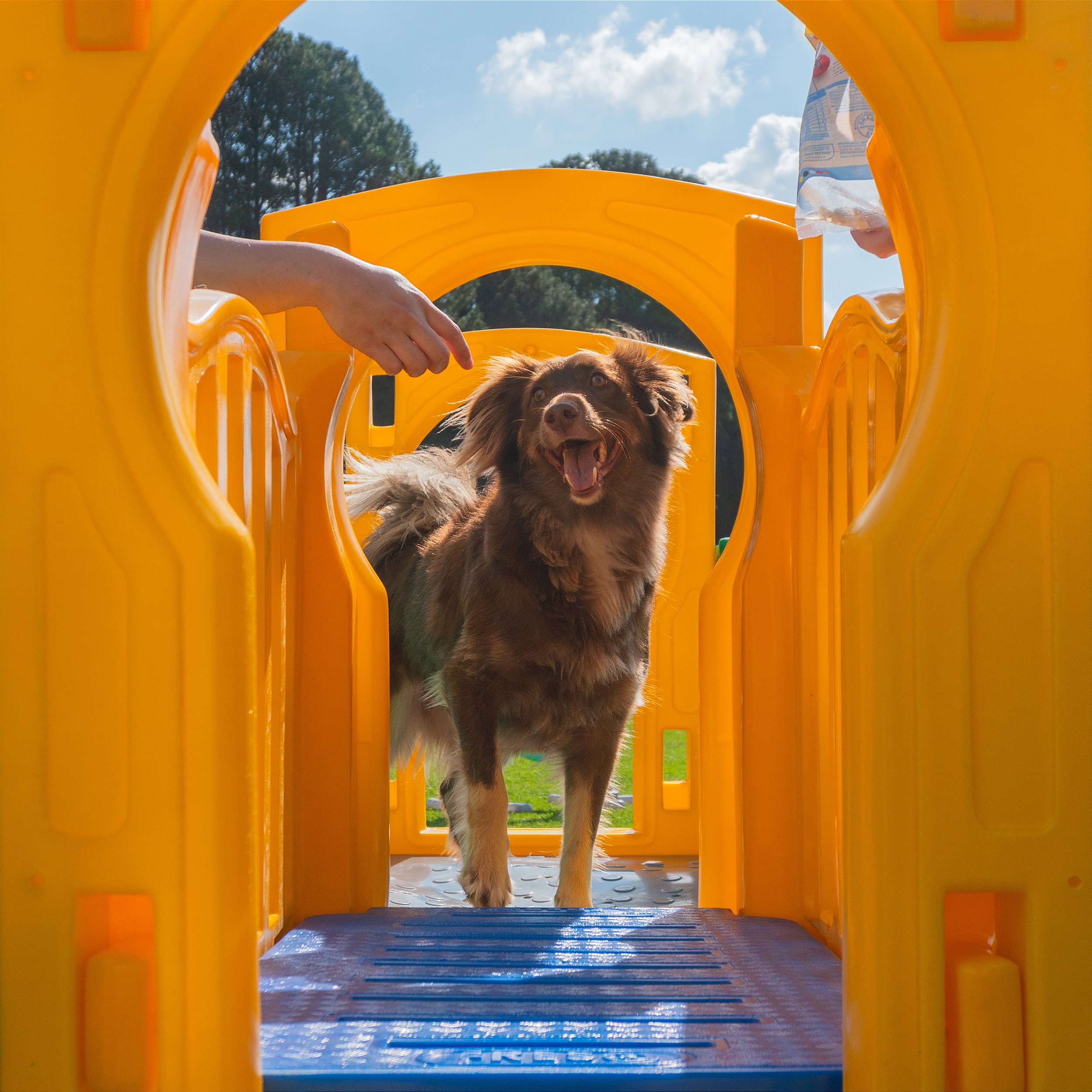 Playground Pet Miniplay Parque Duplo Cachorro Freso - Freso - Loja ...