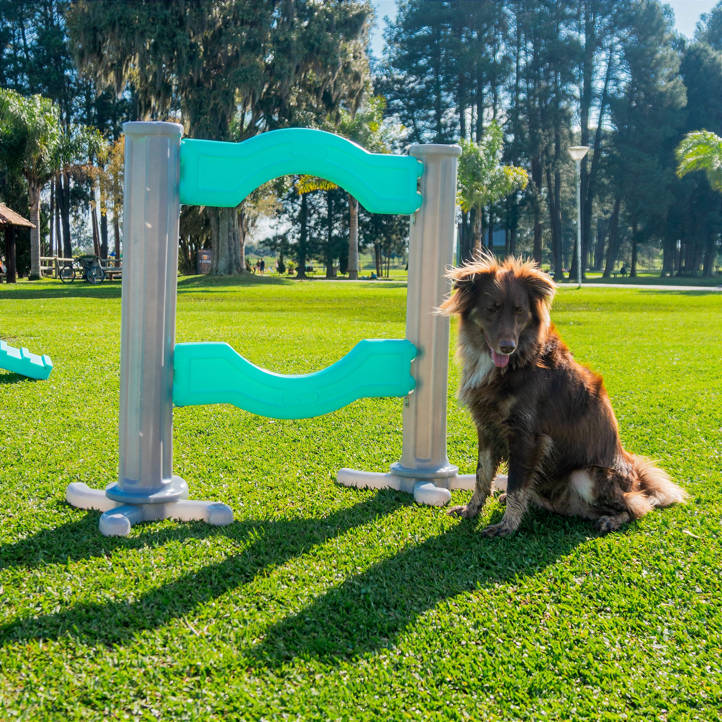 Barra de Salto Pet Agility Spring Simples Cachorro Freso - Freso - Loja ...