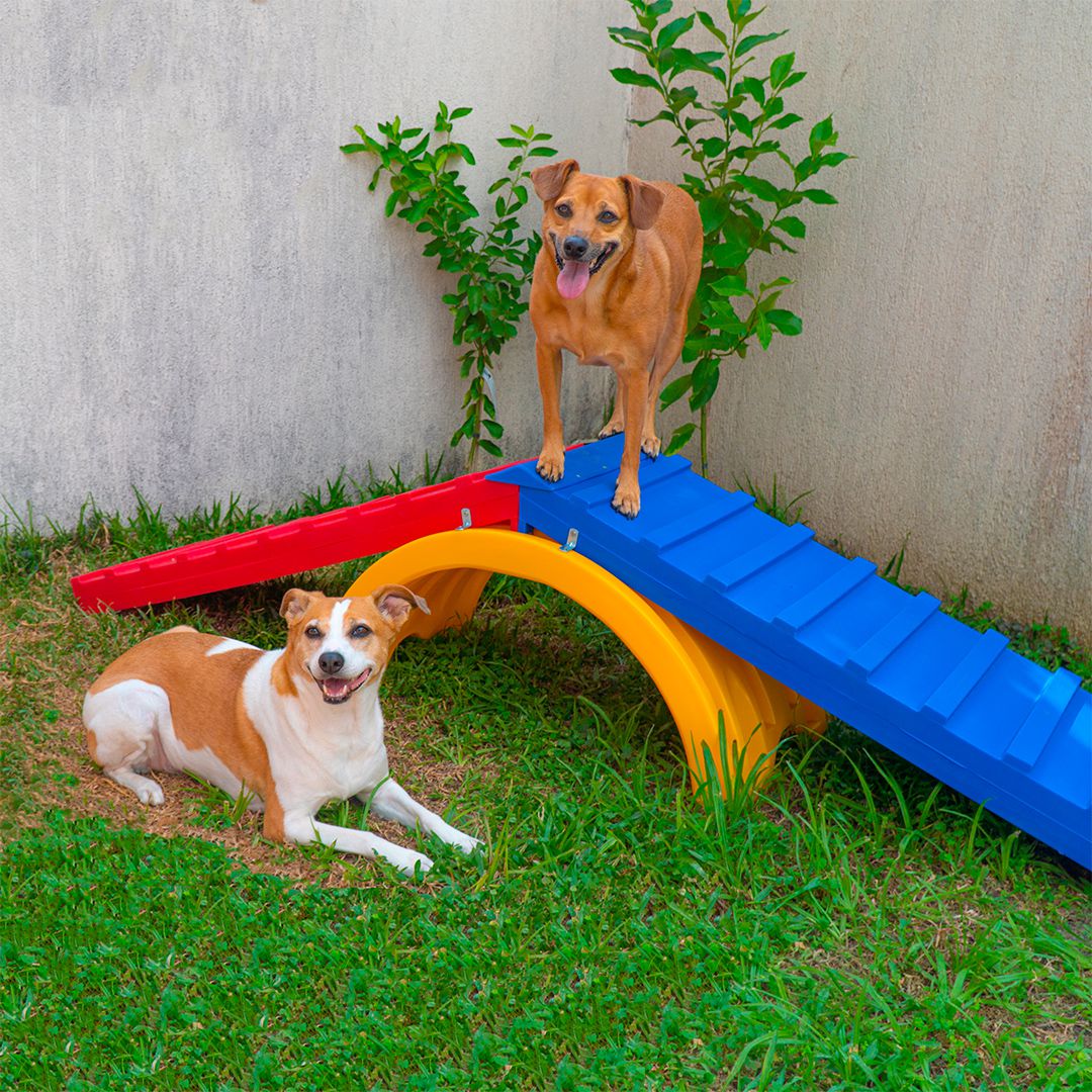 Rampa para Cachorro Escalada Agility Grande Freso - Freso - Loja ...