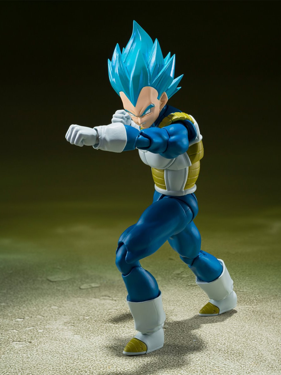 Vegeta God Blue SH Figuarts (Unwavering Saiyan Pride) - Blister Toys ...
